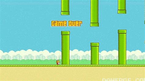 Flappy Bird Funny Gifs ReactionGifs
