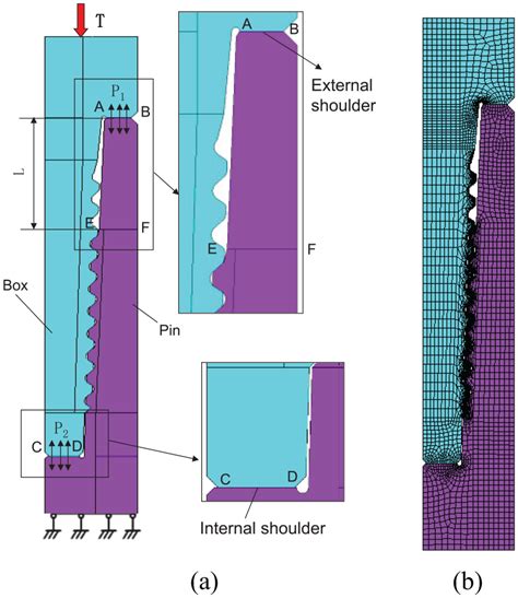 Finite Element Mechanical Model Of TM Lengthened Thread A Solid Download Scientific Diagram
