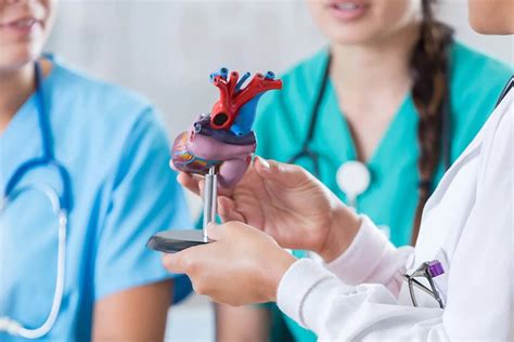 Heartfelt Expertise Patialas Cardiologists And Personalized Heart