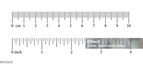 10cm와 4인치의 측정 차트 세트 템플릿 눈금자 모음은 숫자로 확장됩니다 재봉 도구 길이 측정 수학 거리 높이 벡터 간단한 그림입니다 엡스 10에 대한 스톡 벡터 아트 및