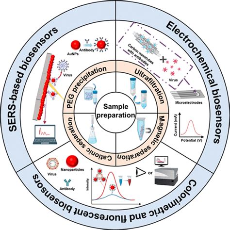 Recent Advances In Biosensor Development For The Detection Of Viral Particles In Foods A