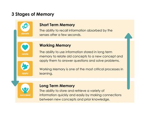 Understanding Working Memory Challenges Dot It Blog Archive