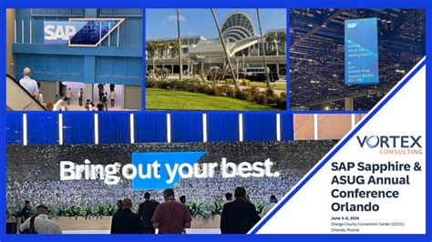 Vortex Consulting On Linkedin Sap