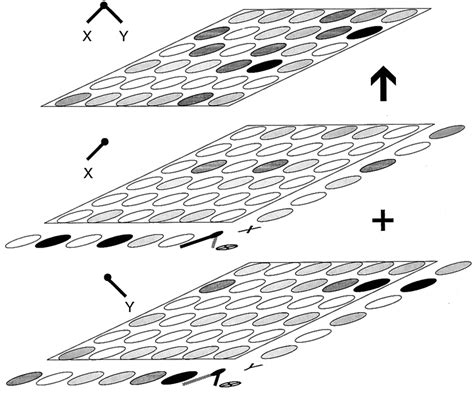 Realizing Structured Representations As Patterns Of Activity In Neural