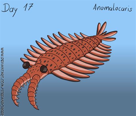 Paleovember Day 17 Anomalocaris By Stefandorfer On Deviantart