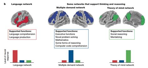 Researcher Argues That Language Is A Tool For Communication Rather