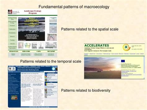 Ppt Fundamental Patterns Of Macroecology Powerpoint Presentation Free Download Id2365393