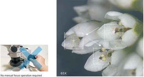 Meadof T20 Smart 3d Super Depth Of Field Microscope