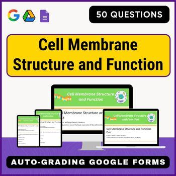 Cell Membrane Structure Function Quiz Google Forms Quiz TPT