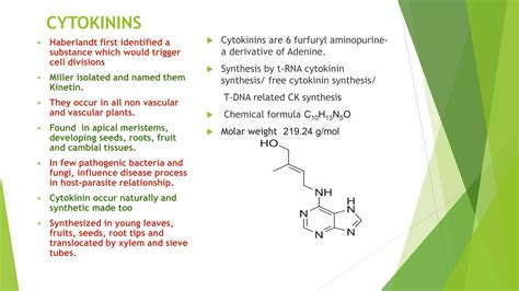 Plant Hormones Or Growth Regulators Ppt