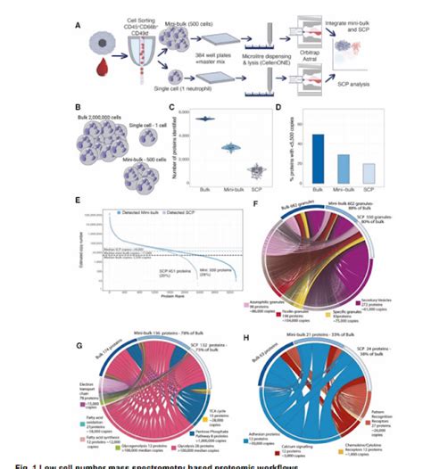News In Proteomics Research Single Cell Proteomics Defines Functional Neutrophils Sub Types In News In Proteomics Research Single Cell Proteomics Defines Functional Neutrophils Sub Types In