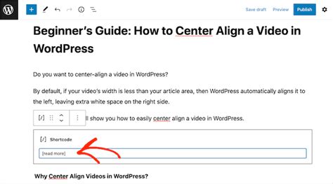 How To Show And Hide Text In Wordpress Posts With The Toggle Effect