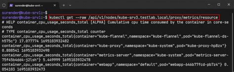 Kubernetes Monitoring With The Kubernetes Metrics Server Sysops