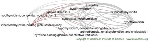Inherited Thyroxine Binding Globulin Deficiency Disease Malacards