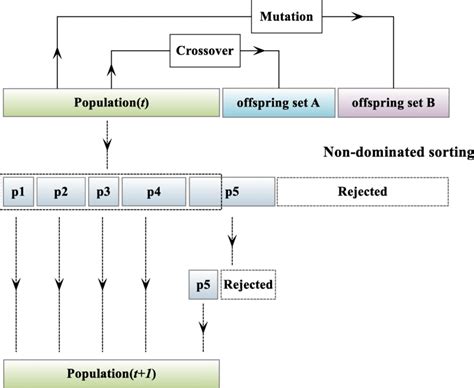 The Selection Operation Scheme Download Scientific Diagram