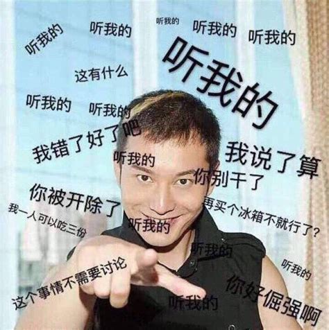 黄晓明明言熊猫头表情包 2 Diy斗图表情