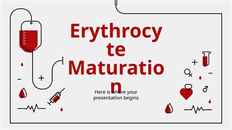 A Presentation In Erythrocyte Maturationpptx
