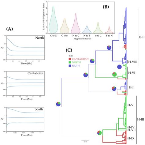 Plants Special Issue Genetic Diversity And Phylogeography Of Lycophytes And Ferns