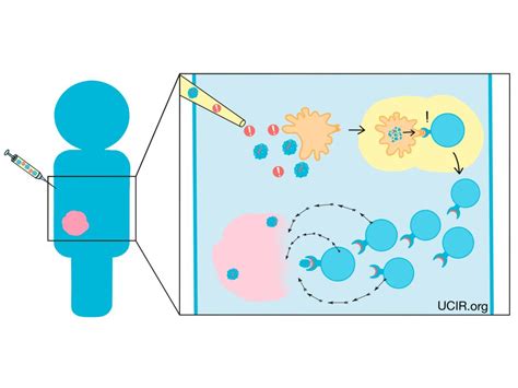 Emmanuel Mahlis On Linkedin What Is Neoantigen Based Therapy