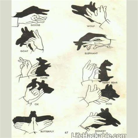 A Guide To Make Shadow Puppets