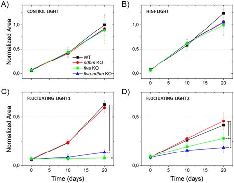 Phenotypes Of Wild Type Wt And Mutant Plants Grown Under Constant Download Scientific Diagram