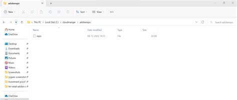 Step By Step Tutorial On Setting Up Aem Repo Tool For Syncing Aem With Intellij On Windows To