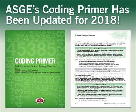 Asge Coding Primer