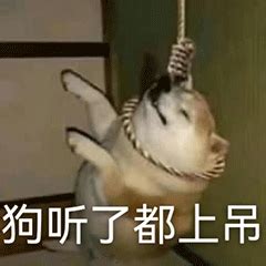 狗听了都上吊表情包图片gif动图 求表情网 斗图从此不求人