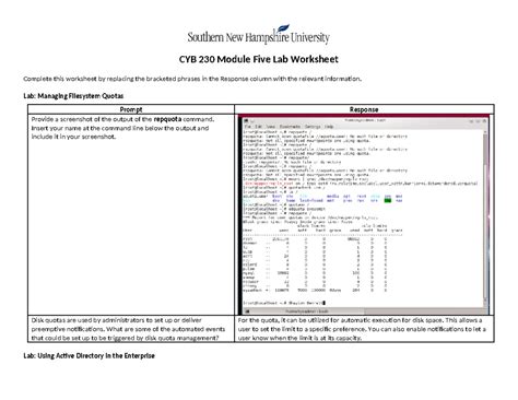 CYB Module Five Lab Shaylyn Bennett CYB Module Five Lab Worksheet Complete This