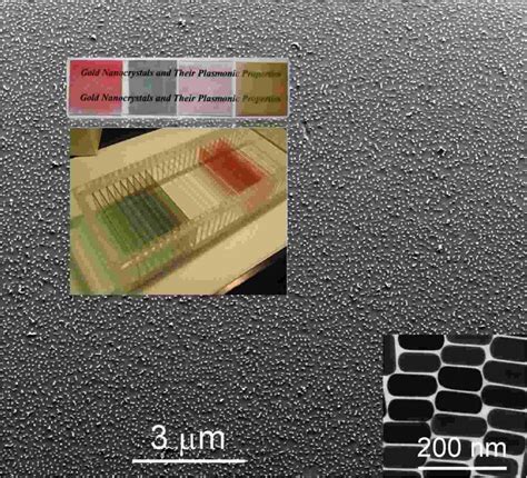 Noble Metal Nanocrystal Arrays Nanoseedz