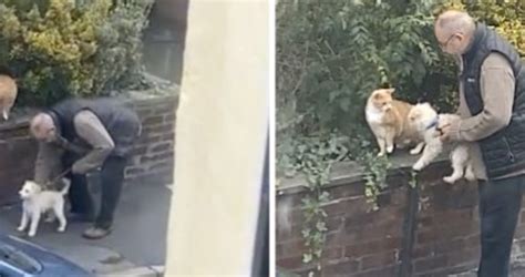 Pure Second Witnessed As Girl Appears Out Her Window At A Stranger