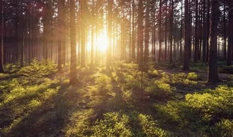 Mastering Stock Price Prediction Using Deep Learning Models A Comprehensive Guide By Sohel