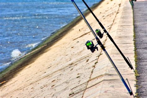 ズボ釣りって何？スズキやチヌも狙える釣りの仕掛け＆釣り方をご紹介！ Leisurego Leisurego