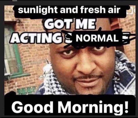 Squid Rule 😳 R 19684