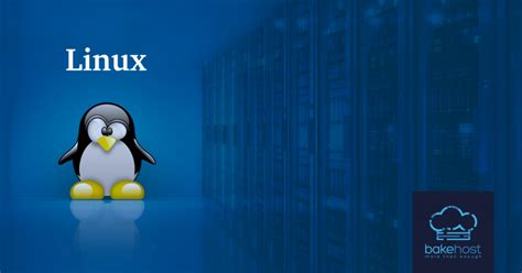Differences Between Linux And Windows Servers BakeHost