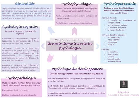 grands domaines de la psychologie fiches ide