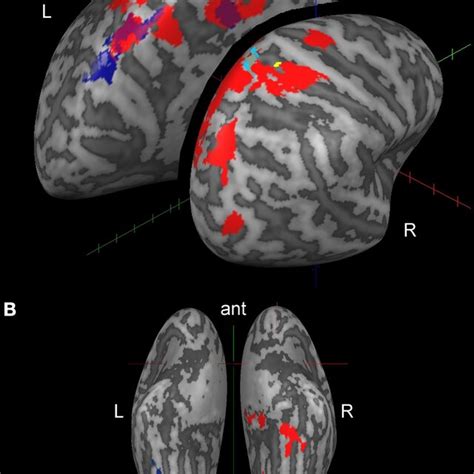 Heat Maps Depicting Relative Eye Gaze Location Screen X° Y° During Download Scientific