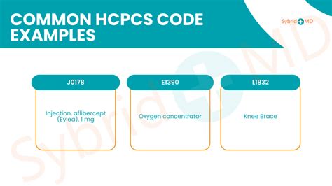 What Is An Hcpcs Code Purpose And Importance Explained