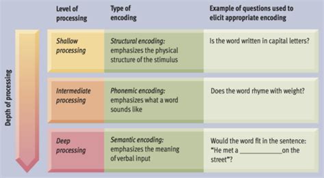 EXAM CH Flashcards Quizlet