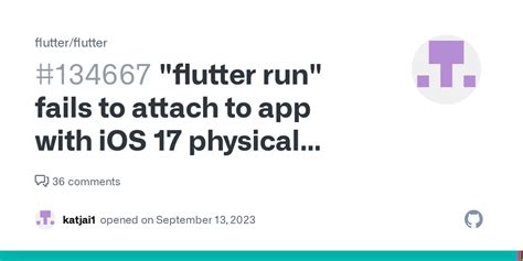 Flutter Run Fails To Attach To App With Ios 17 Physical Device