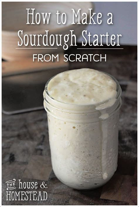 How To Make A Sourdough Starter From Scratch Artofit