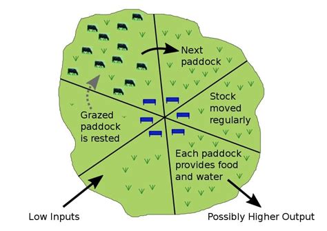 Benefits Of Deferred Grazing On Native Pastures