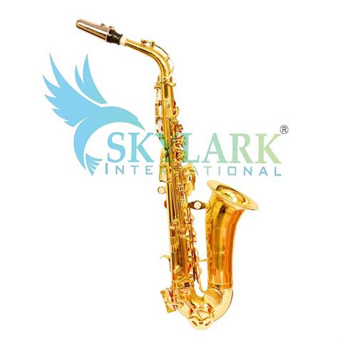 Wind Instruments Brass Gold Finish Alto Saxophone At ₹ 16500piece In