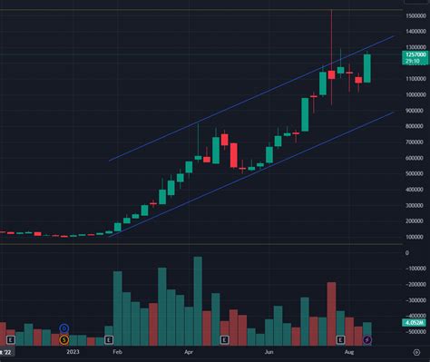에코프로 주가전망 인포마니아
