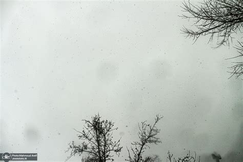 بارش برف و باران در تهران تا چه زمانی ادامه دارد؟ آخرین گزارش هواشناسی