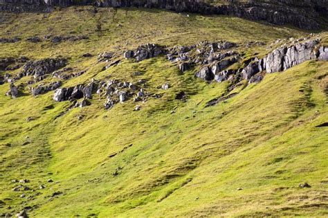 Green Grass And Texture Stock Image Image Of Lush Environment 164482125