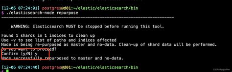 Es集群节点角色更换elasticsearch Node Repurpose Csdn博客