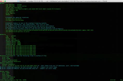 Labs 123 Cannot Access Metrics Server Dashboard From Browser — Linux