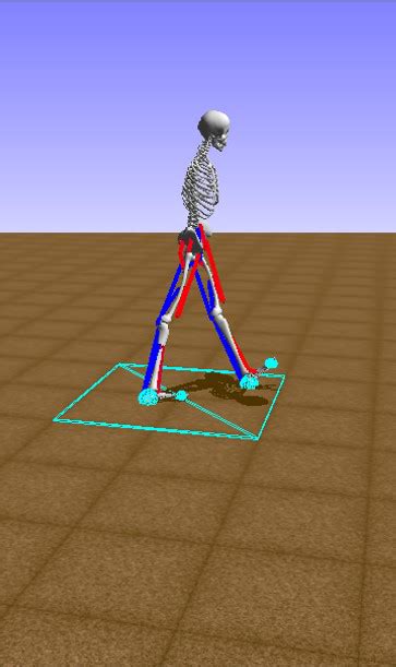 The Lower Limb Musculoskeletal Model Download Scientific Diagram