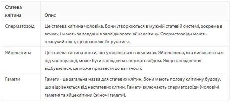 статеві клітини людини таблиця Дякую Школьные Знания Com